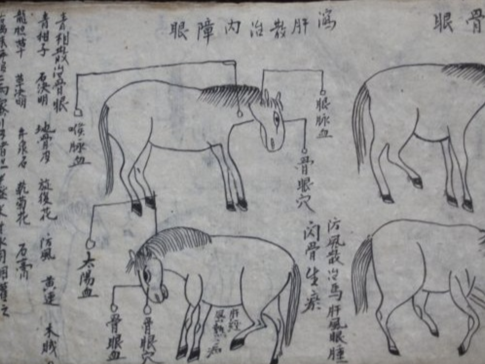 The Element of Elements: The Theory and History Behind Chinese Medicine ...