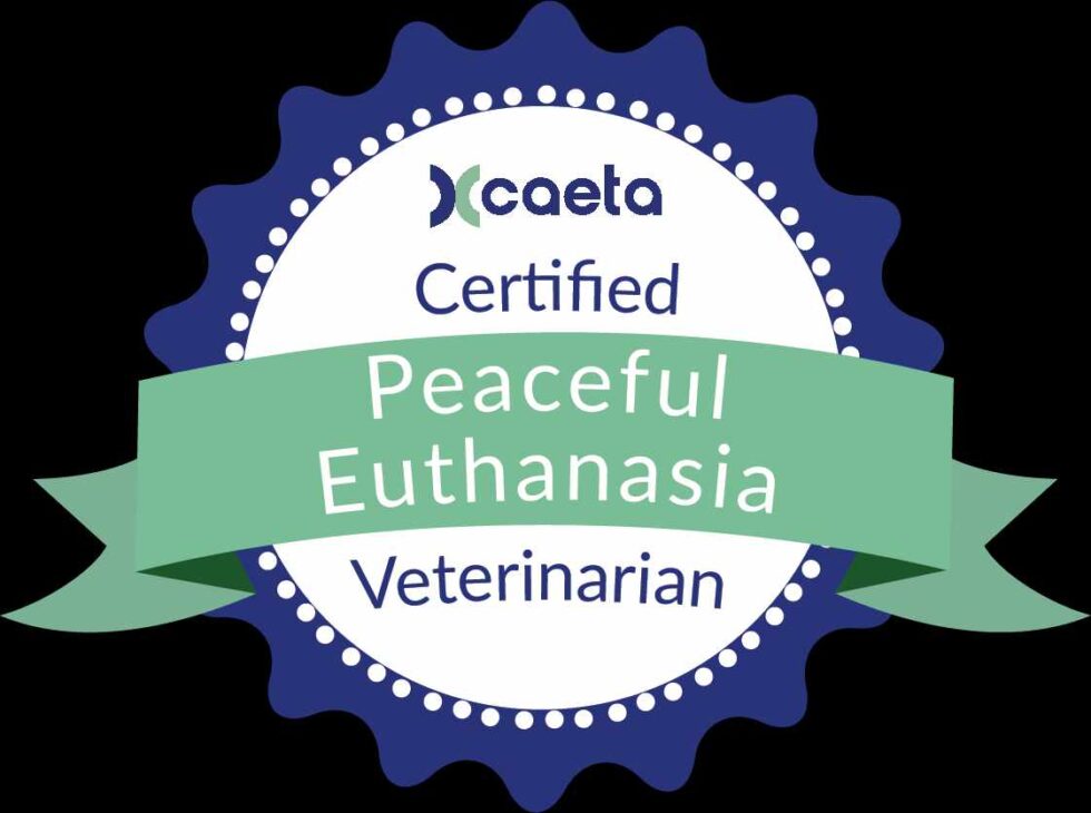 Meet The Family - Vital Animal Vet Clinic