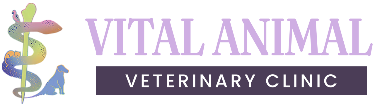 Home - Vital Animal Vet Clinic